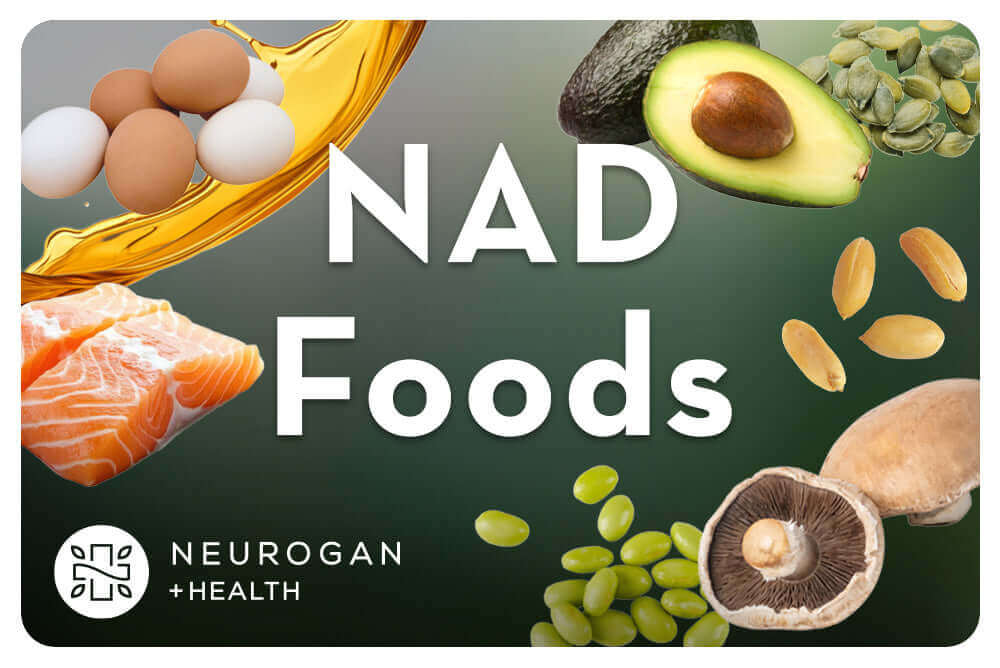 Foods High in NAD+ | Sources, Naturally
