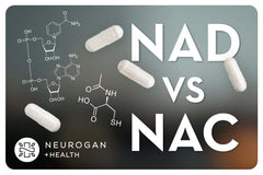 NAD vs NAC | What are the Main Differences? Comparison