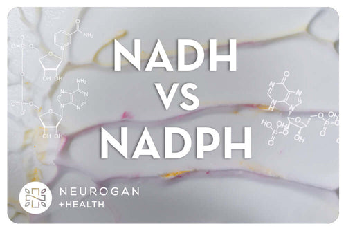 NADH vs. NADPH: ¿Cuál es la diferencia?