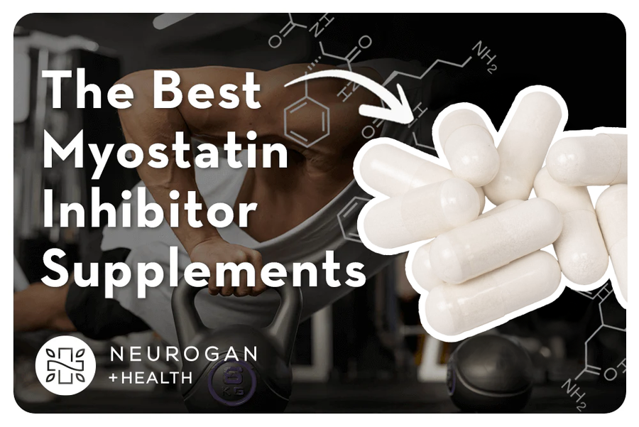 Best Myostatin Inhibitor Supplements | Product Reviews