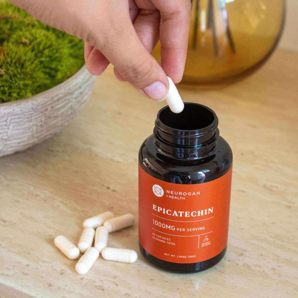 Epicatechin Supplement | For Brain, Muscle Support, Cardio