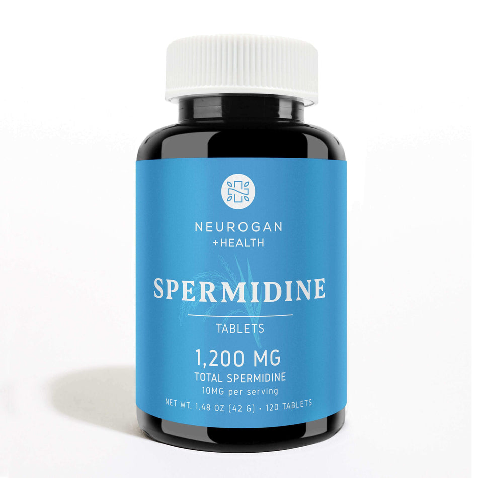 Buy Spermidine Supplements | Cellular Aging & Rejuvenation