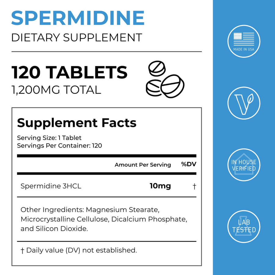 Buy Spermidine Supplements | Healthy Aging, Best Capsules