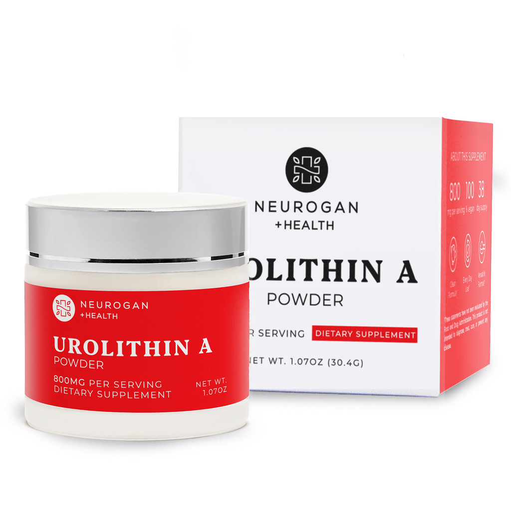 Urolithin A Powder | 800mg, No Fillers, Pure Potency