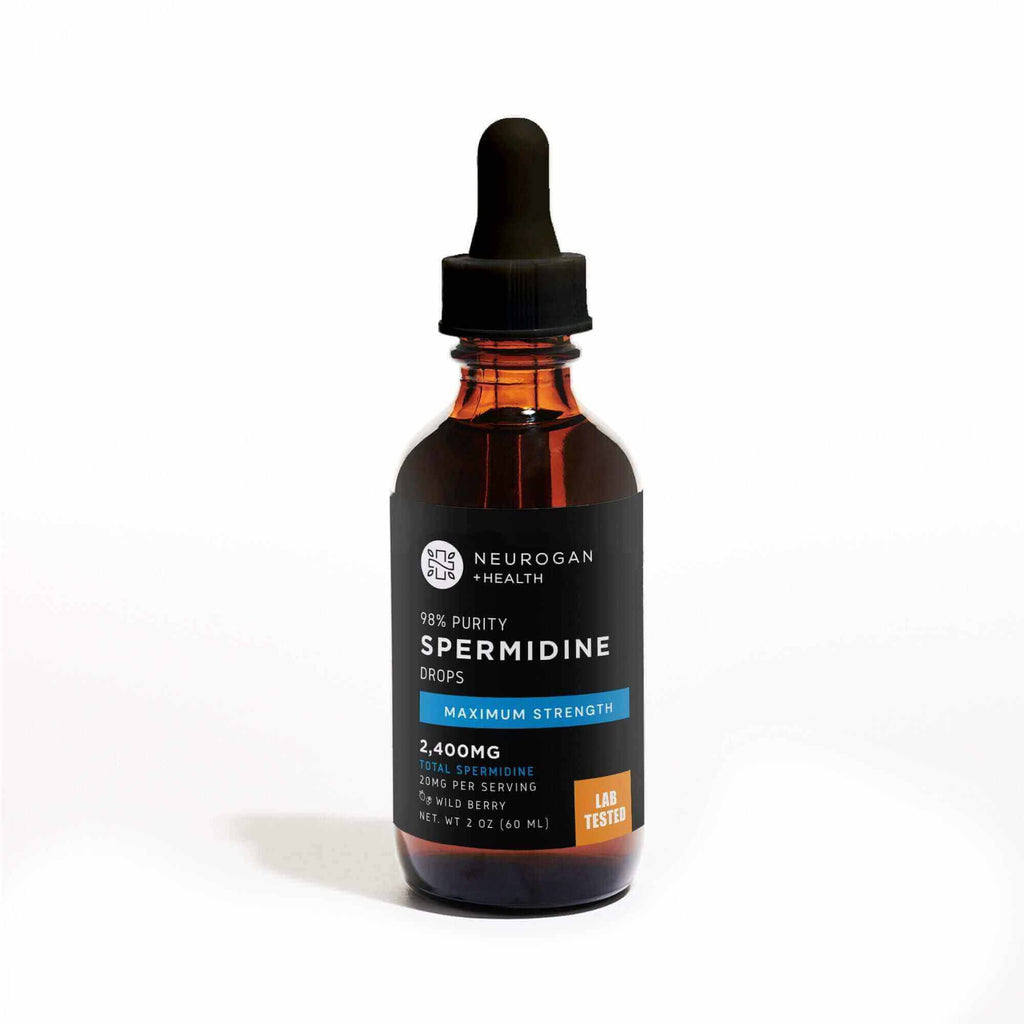 Spermidine Drops | Vegan Anti-Aging Water Drops | 2400MG