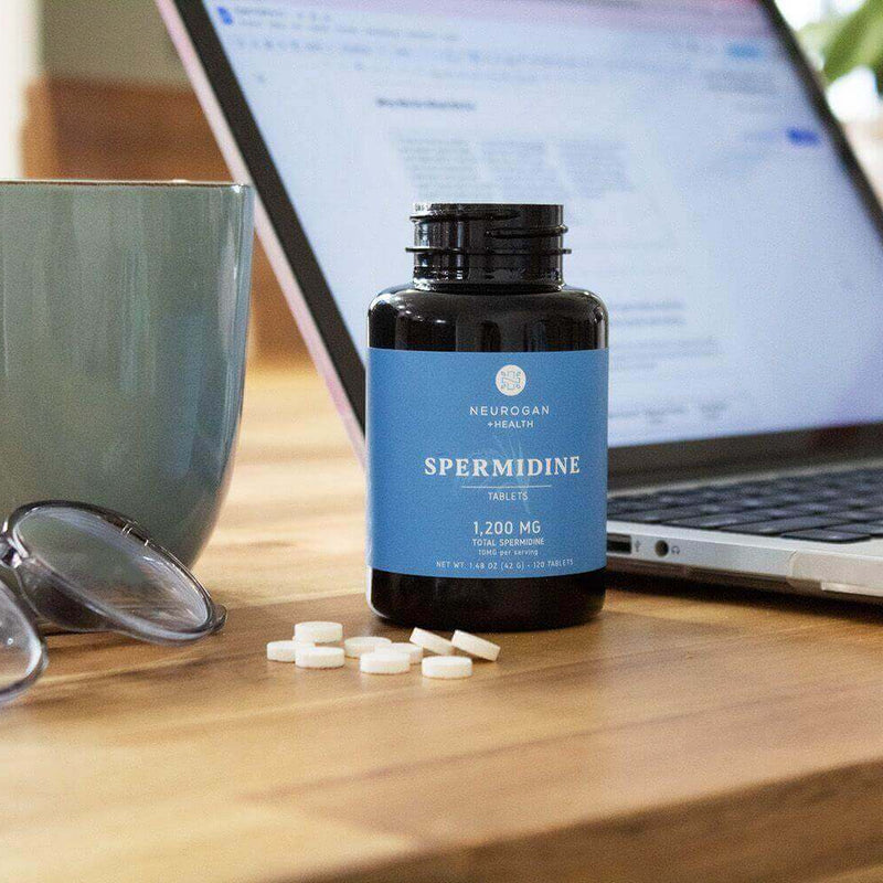 Spermidine Tablets | Healthy Aging | Neurogan Health